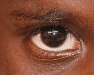 eyesmart.com.au - eyecare industry news and jobs in Australia and NZ