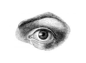 eyesmart.com.au - eyecare industry news and jobs in Australia and NZ