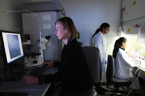 eyesmart.com.au - eyecare industry news and jobs in Australia and NZ